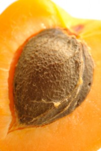 Kyonin