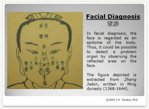 Traditional Kampo and Chinese Medicine Diagnostic Methods