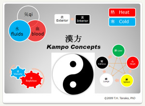 Kampo Concepts & Terminology